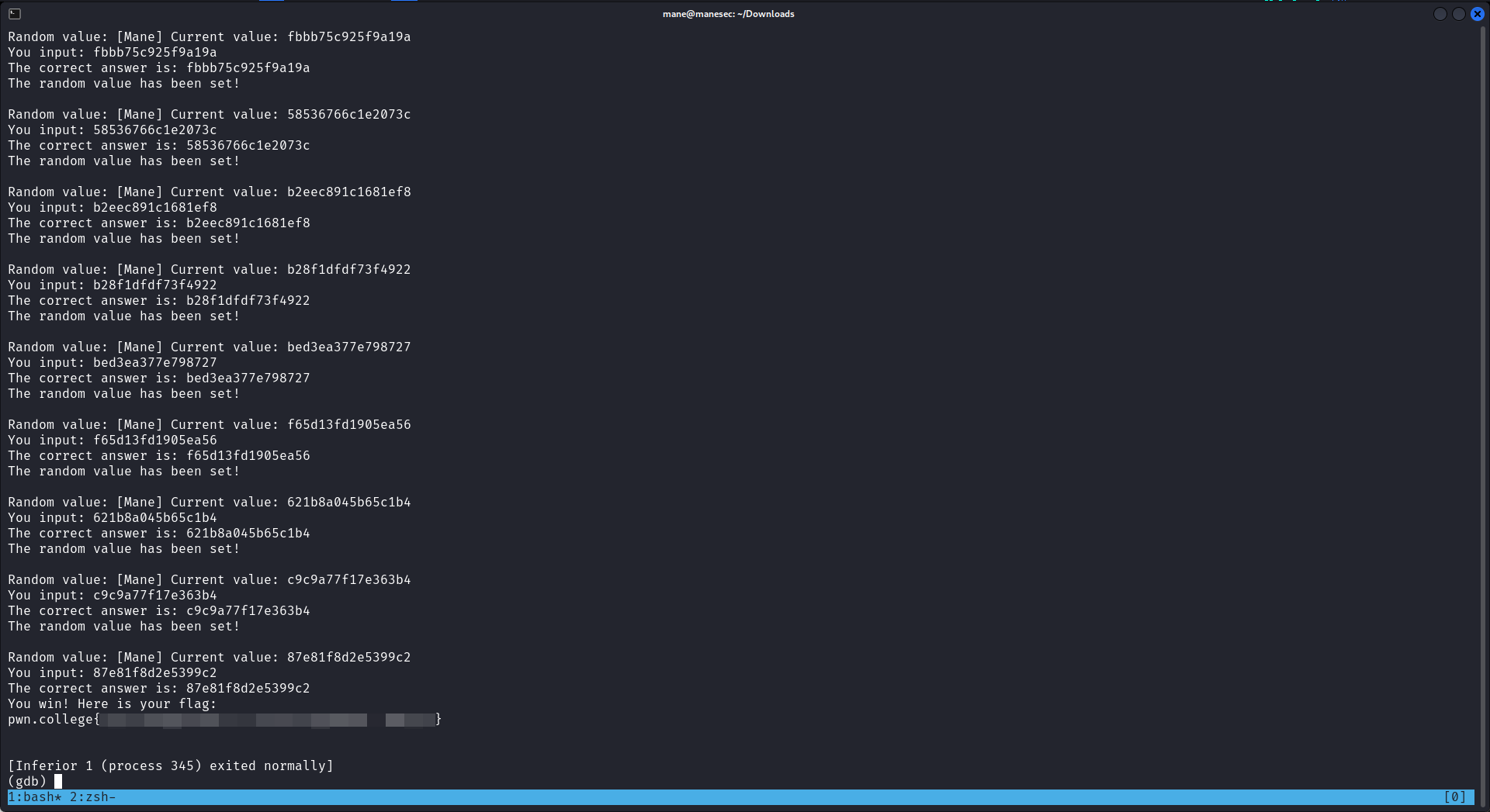 Pwn.College - Debugging Refresher