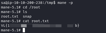 VulnLab - Machine - Sync